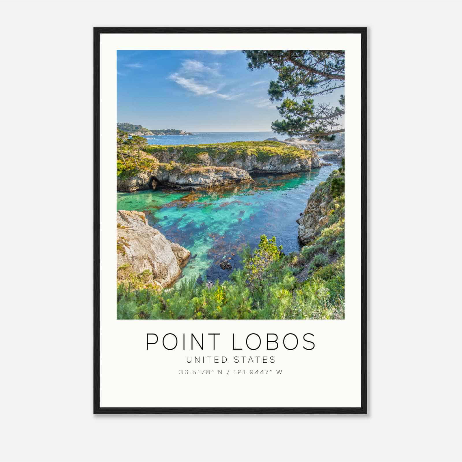 Point Lobos United States Travel Photo Poster, Point Lobos Travel Print ...