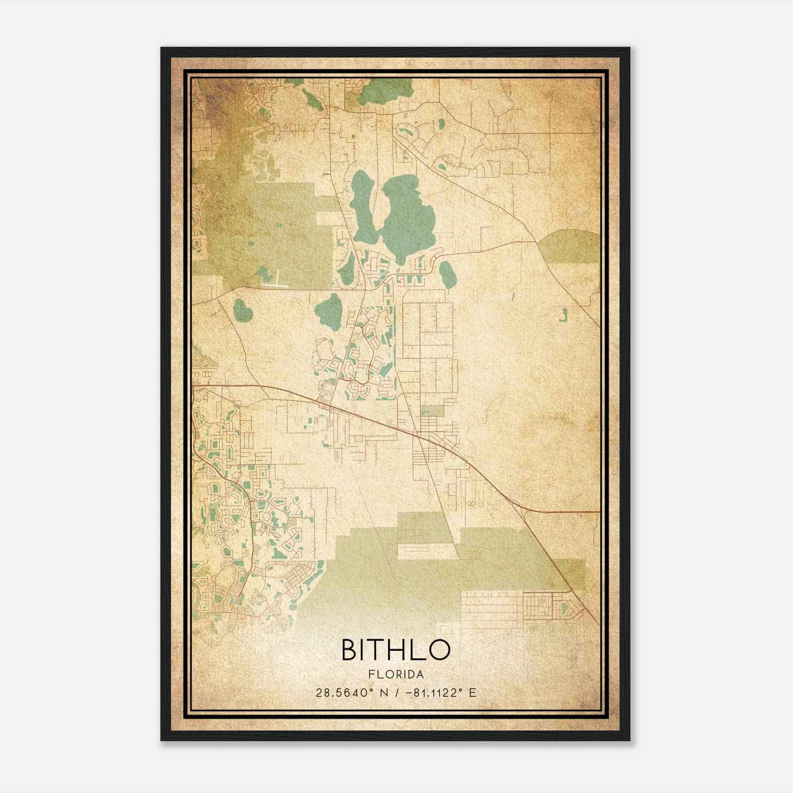 Vintage Bithlo Florida Map Poster, Modern Home Decor Wall Art Print ...