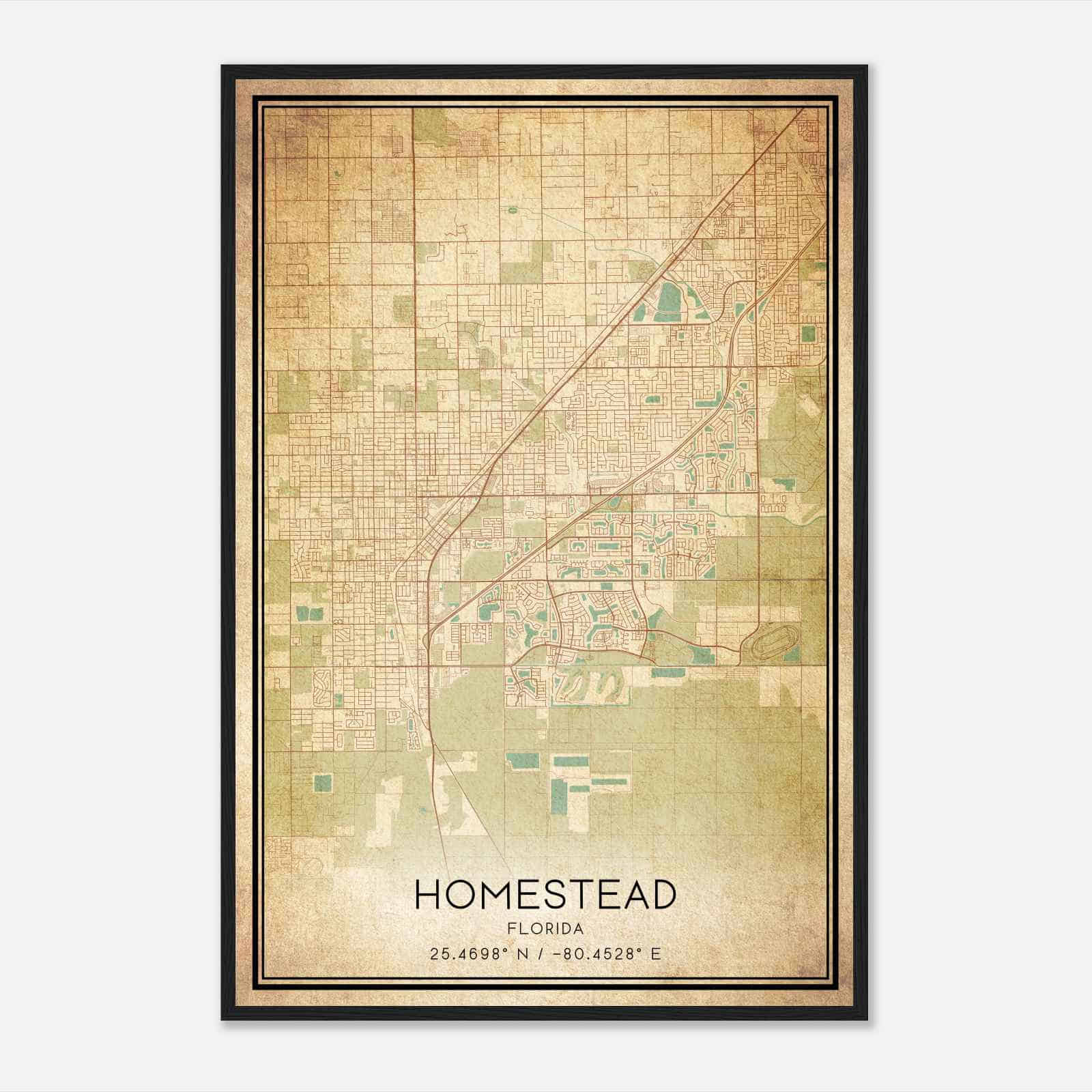 Vintage Homestead Florida Map Poster, Modern Home Decor Wall Art Print ...