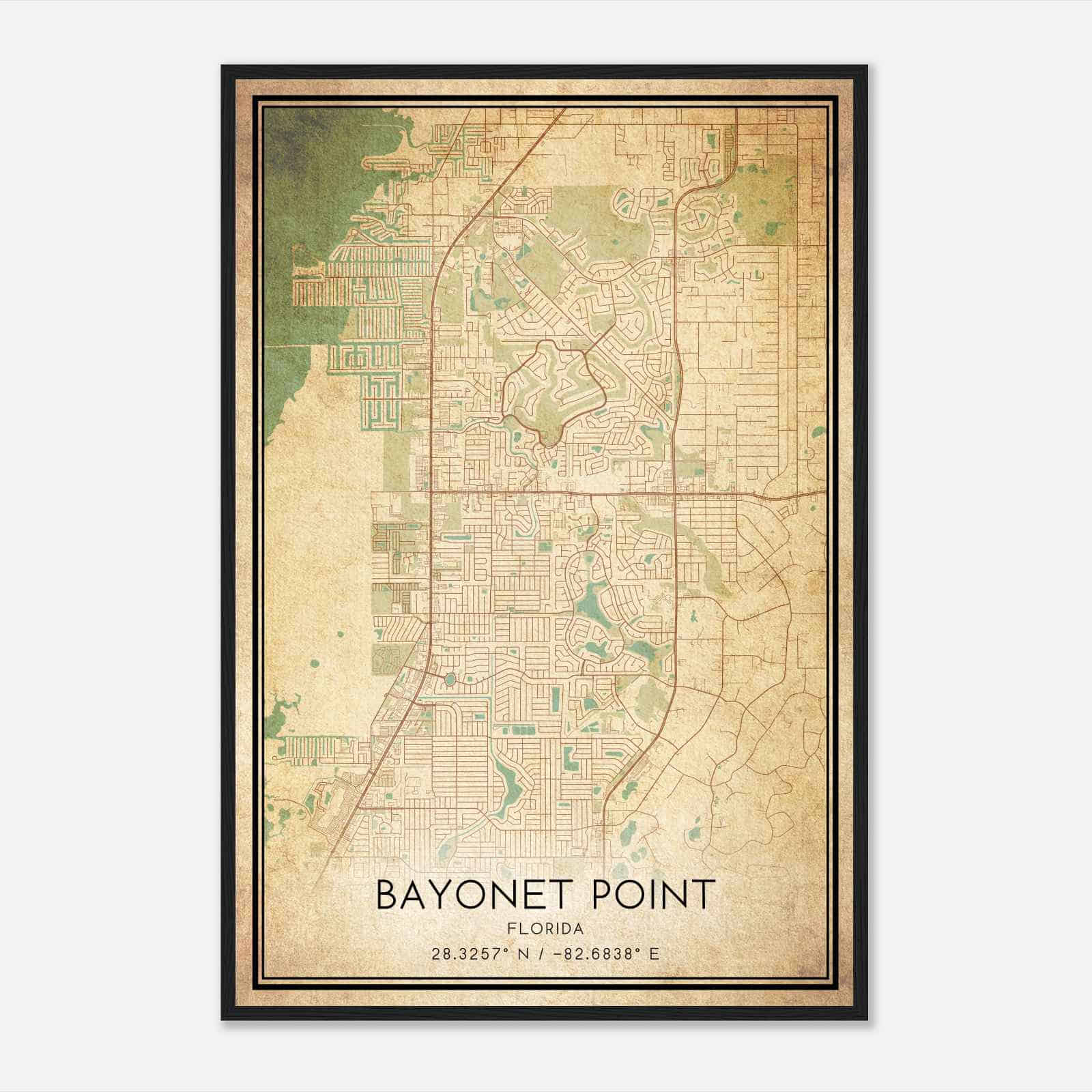 Vintage Bayonet Point Florida Map Poster, Modern Home Decor Wall Art ...