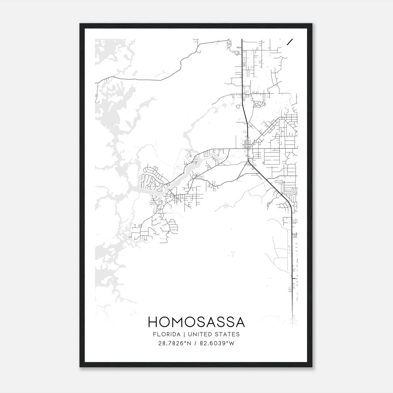 Homosassa Florida Map Poster, Modern Home Decor Wall Art Print - Custom ...