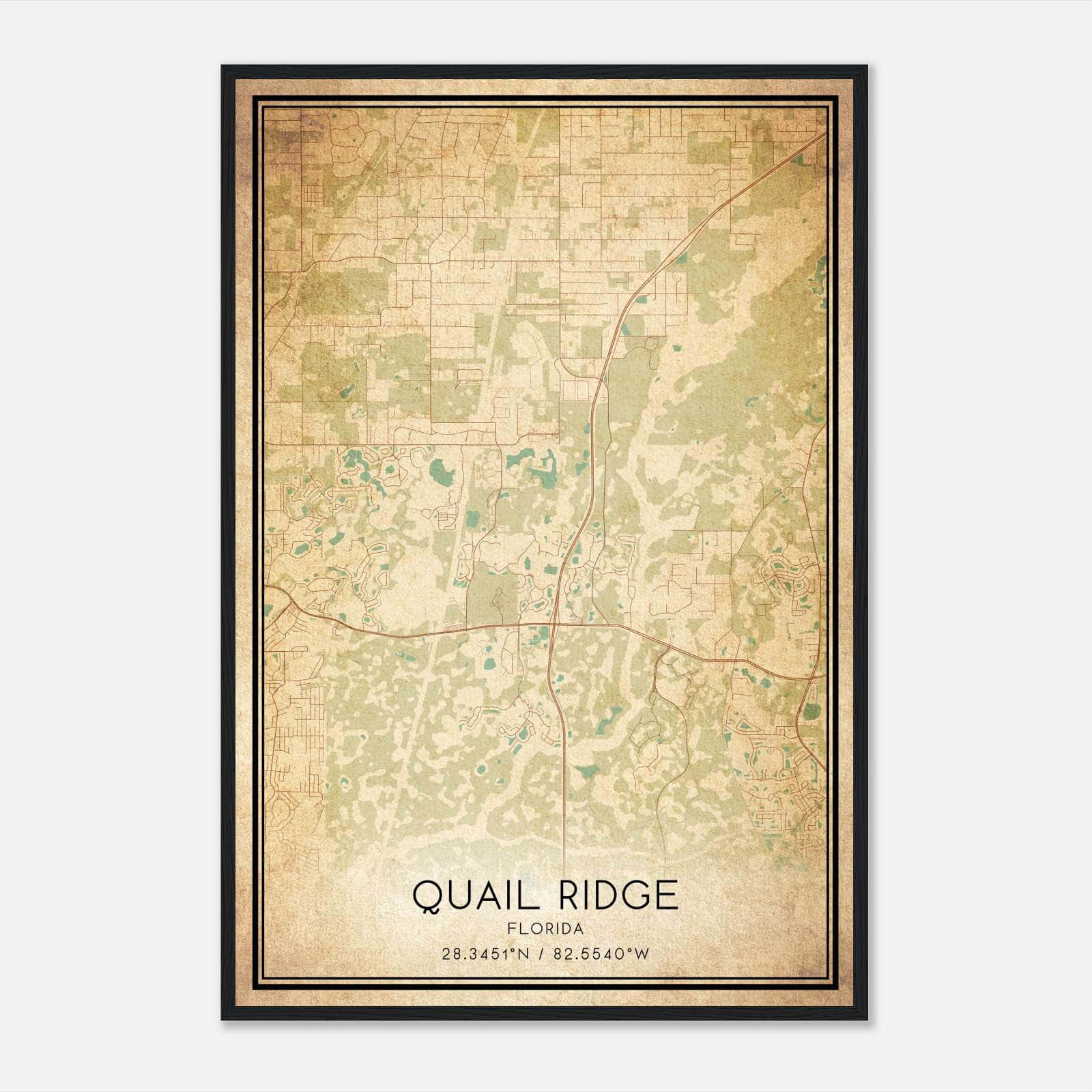 Vintage Quail Ridge Florida Map Poster, Quail Ridge FL City Road Wall ...