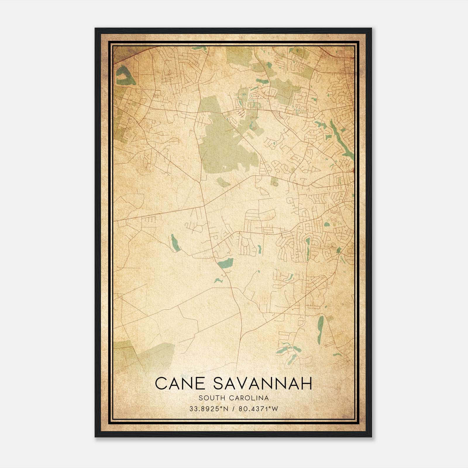 Vintage Cane Savannah South Carolina Map Poster, Cane Savannah SC City ...